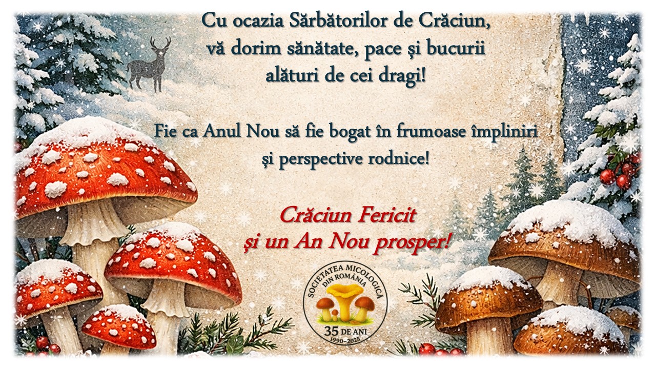 Crăciun fericit! | Societatea Micologică din România